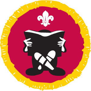 Cub Scout Book Reader Activity Badge OLD FDL – Badges & Things ...