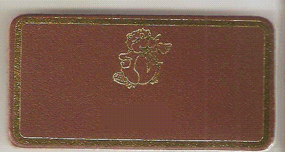 Custom, Beaver Leaders Leather Name Badge, Tan. Choose your own Name ...