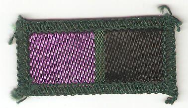 Patrol Flash Stag (Discontinued) – Badges & Things | Coventry Scout Shop