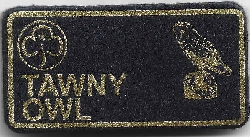 Tawny Owl, Guiders Leather Character Name Badge, Navy Blue – Badges ...