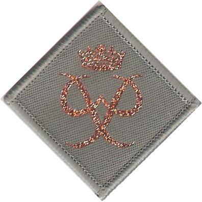 Duke of Edinburgh Bronze Award Cloth Badge – Badges & Things | Coventry ...