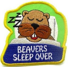 Beavers Sleepover 75mm fun badge, Yellow overlocking – Badges & Things ...